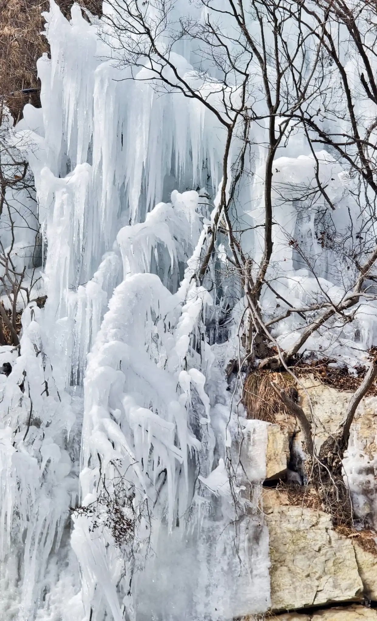 Things to Do in Rizhao in 2025 - Top Attractions, Local Food, Hotels ...