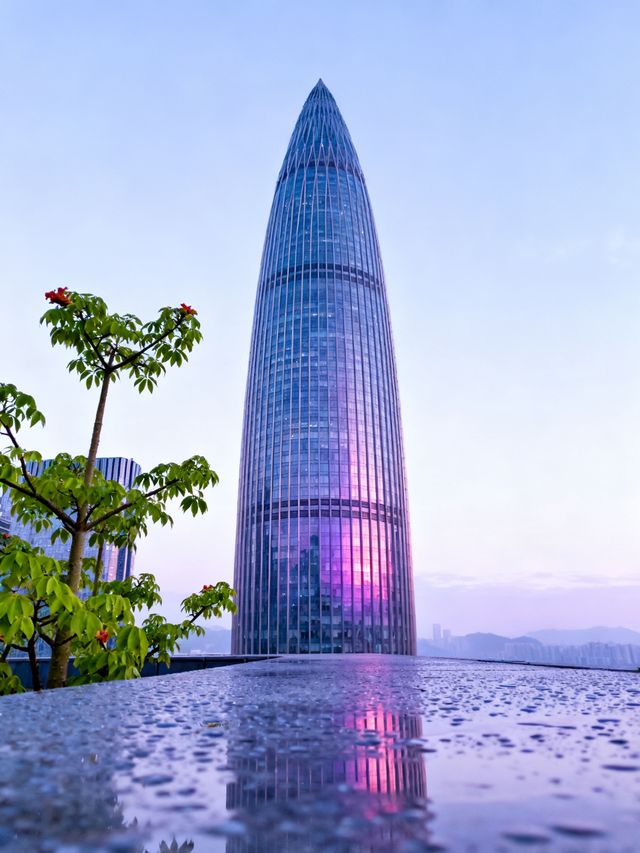 Spring family outing in Shenzhen, stay here and check in on the flower ...