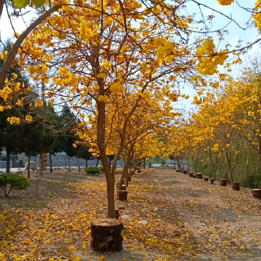 Linhai Travel Guide 2023 - Things to Do, What To Eat & Tips | Trip.com