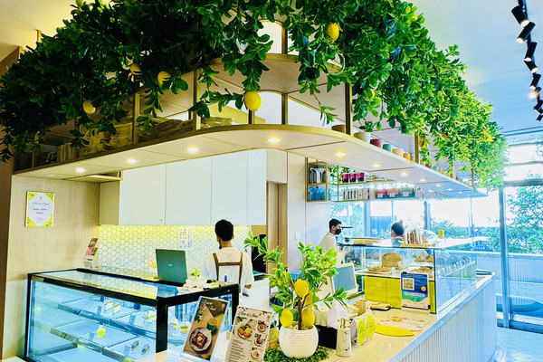 🍋 The Lemon Tree Cafe | Trip.com Kuala Lumpur