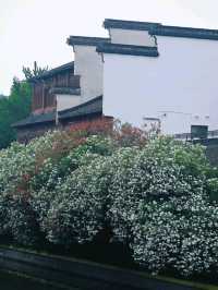 Fuzimiao — Where Qinhuai River Carries a Thousand Years of Light | Trip ...