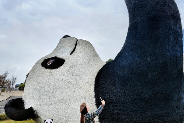 Must-Visit Panda Spots in Chengdu (With Tips) | Trip.com Chengdu