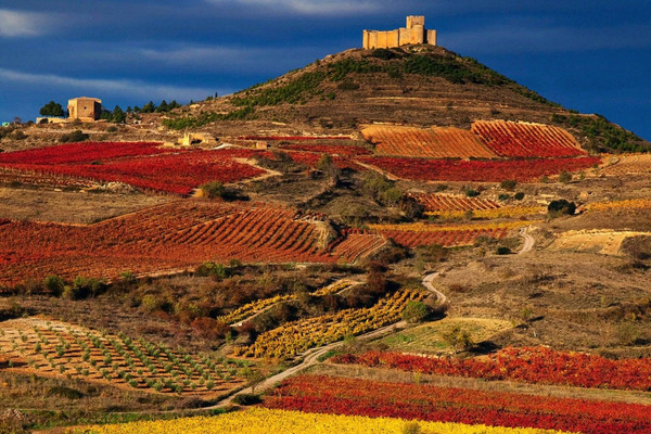 🏡 Escaping to the Countryside | Trip.com Spain