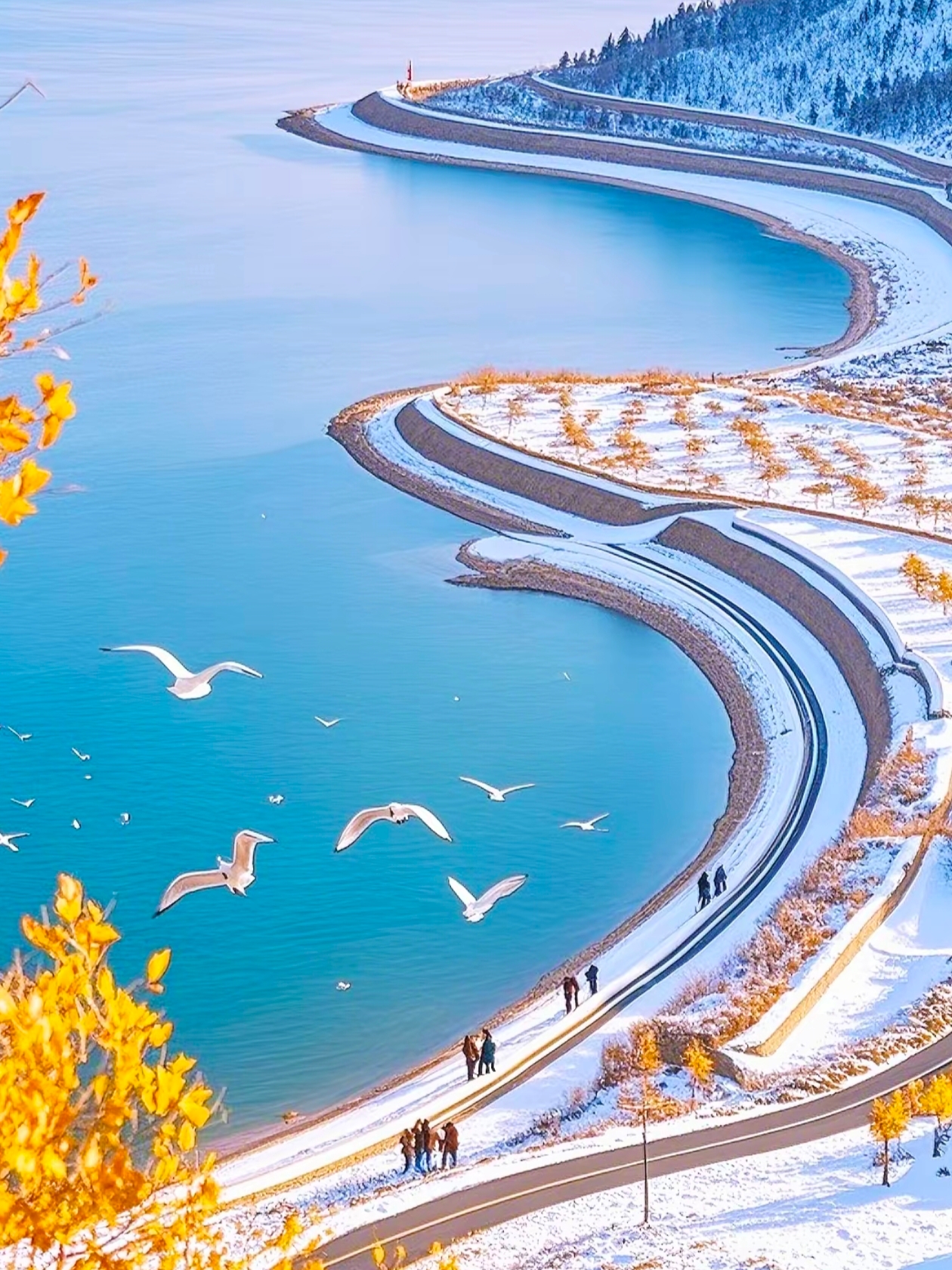 Things to Do in Dali in 2025 - Top Attractions, Local Food, Hotels ...