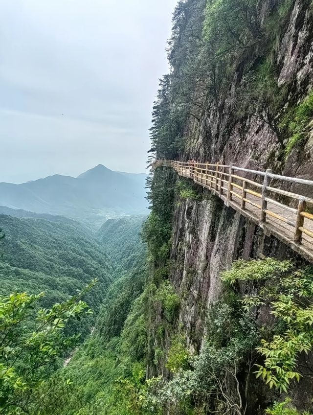 2026明月山爆款攻略｜人均600+玩遍雲海+溫泉+懸崖棧道｜Trip.com 宜春