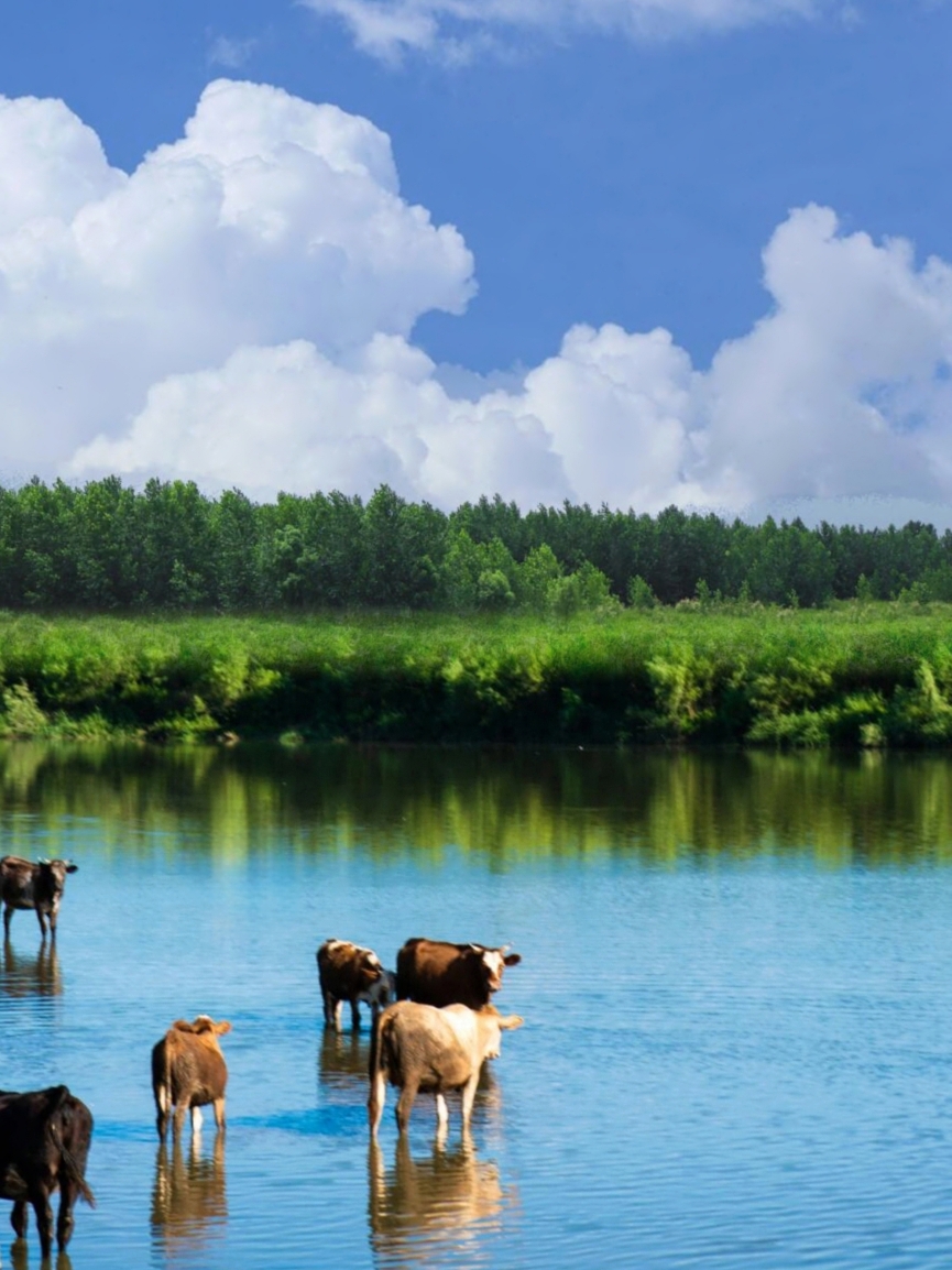 Things to Do in Yangling District in 2024 - Top Attractions, Local Food ...