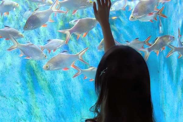 🐠 Changsha Underwater World – Simple Guide | Trip.com Changsha