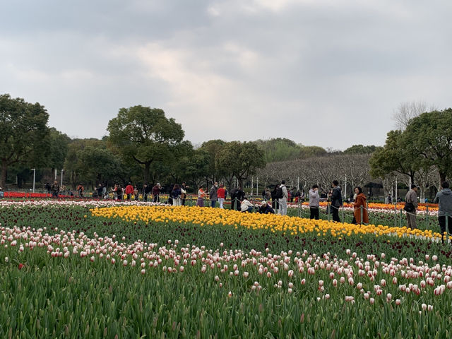 Daning Tulip Park, Shanghai | Trip.com Shanghai