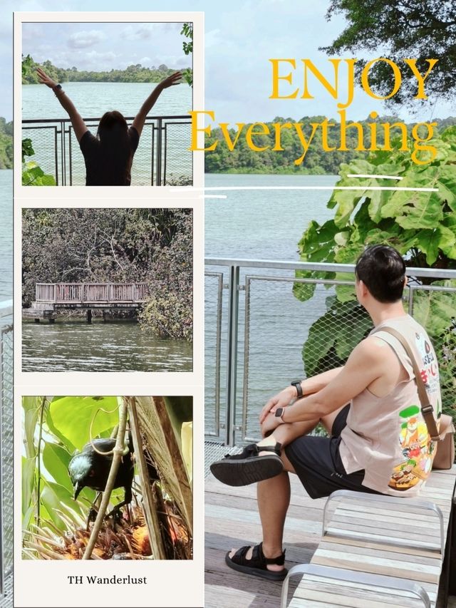 MANDAI Broadwalk ~ a nature lover's dreamwalk | Trip.com Singapore