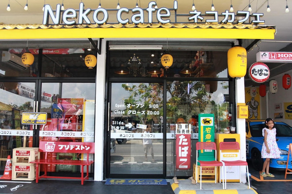 Neko cafe Rayong 🇯🇵 | Trip.com จังหวัดระยอง