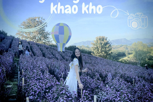 Hydrangea cafe Khao Kho | Trip.com อำเภอ เขาค้อ