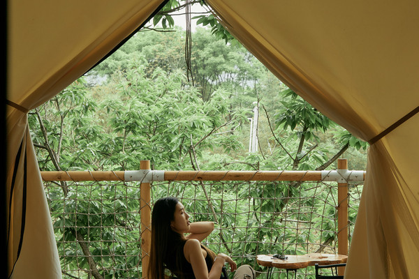 The Emerald Forest Treehouse | Immersive Forest Living Experience ...