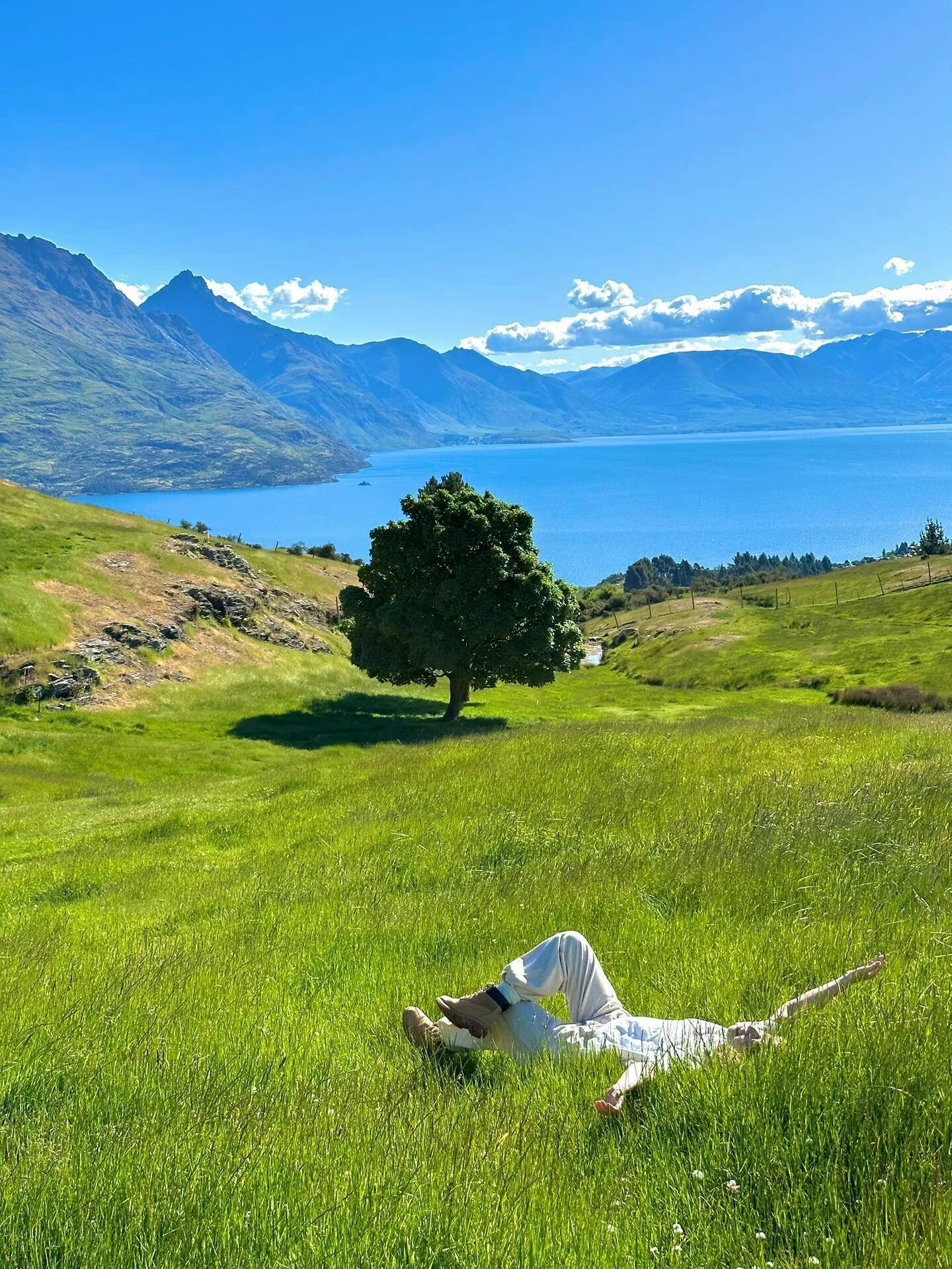 뉴질랜드여행 (2024) - 인기 여행지, 추천 코스, 맛집 정보 | Trip.com