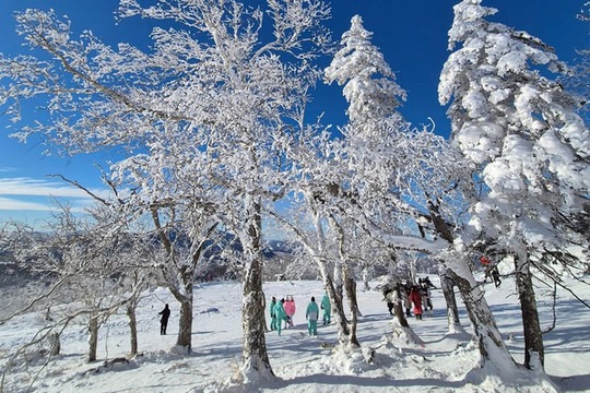 Snow & Ice Fantasy Ten Miles Gallery:Harbin 🇨🇳 | Trip.com ฮาร์บิน