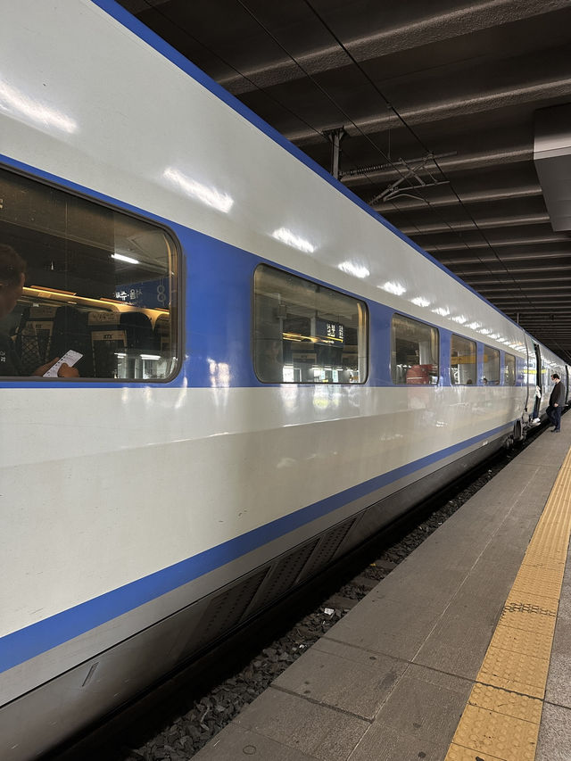 Busan Highlights - Train to Busan, Gukbap, Sky ludge | Trip.com Busan