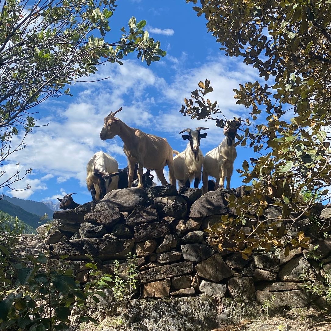 Lijiang 2023 Top Things to Do - Lijiang Travel Guides - Top Recommended ...