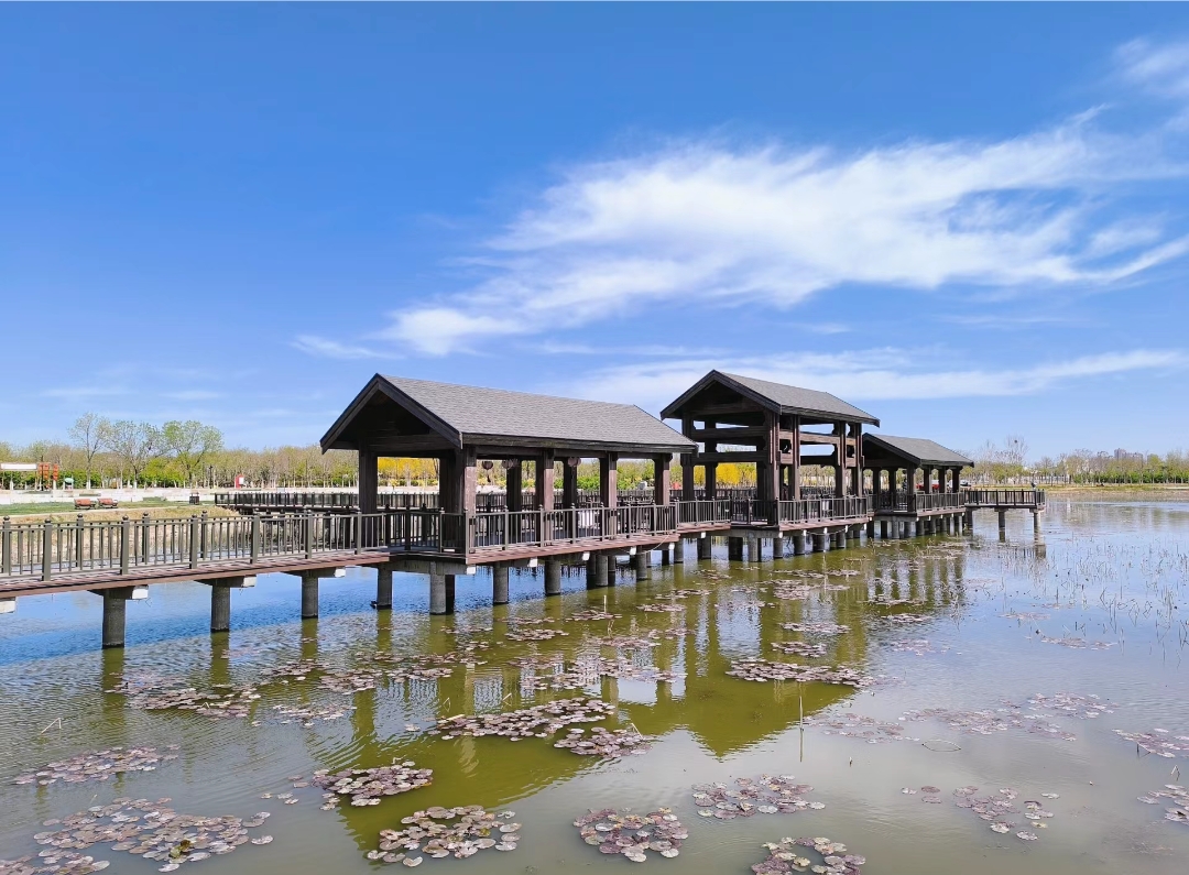 Things to Do in Dongli District in 2024 - Top Attractions, Local Food ...