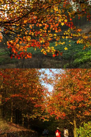 Things to Do in Shengzhou in 2025 - Top Attractions, Local Food, Hotels ...