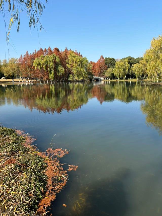 Strolling through Zhejiang University Zijin'gang Campus | Trip.com Hangzhou