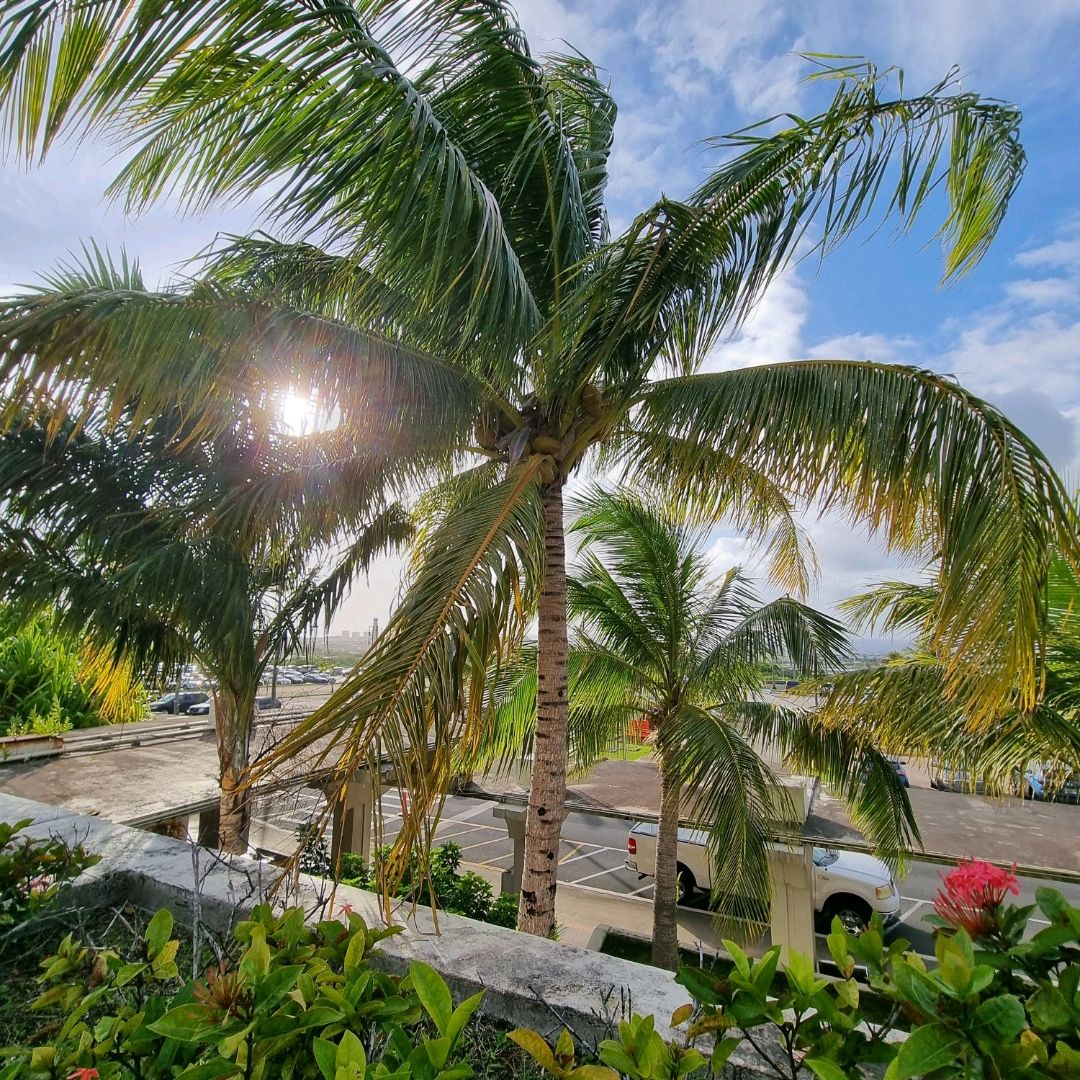 Pyeongtaek-si Travel Guide 2023 - Things to Do, What To Eat & Tips ...