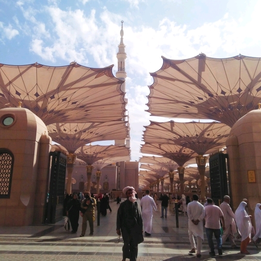 Medina Travel Guide 2024 - Things to Do, What To Eat & Tips | Trip.com