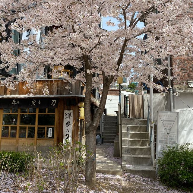 Best places to visit in Seoul during spring | Trip.com Seoul
