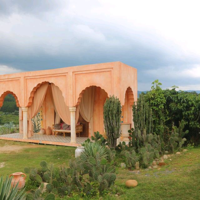 Mongo Land Dalat in a beautiful sunny day | Trip.com Dalat