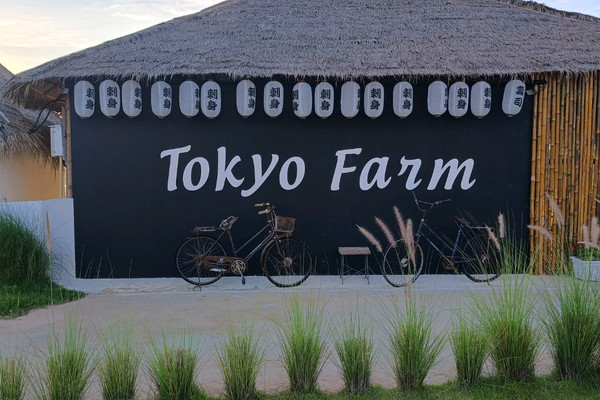 Tokyo Farm จ.นครราชสีมา | Trip.com อำเภอ ปากช่อง