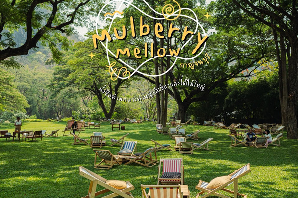 Mulberry Mellow กาญจนบุรี🥤️🌳️️️⛱️ | Trip.com กาญจนบุรี