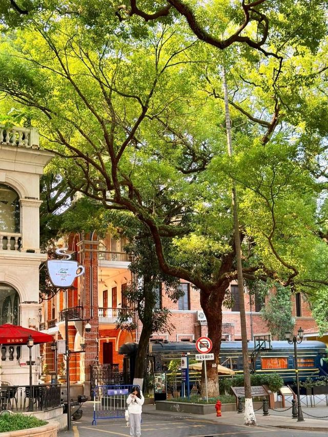 Canton Tower | Trip.com Guangzhou