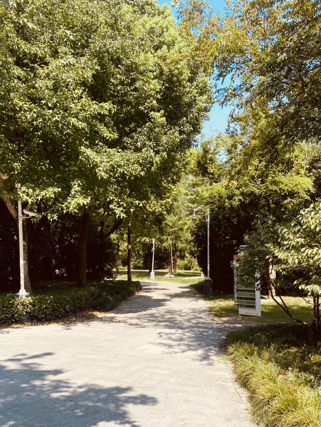 Tree Lined Escape🍃 | Trip.com Shanghai