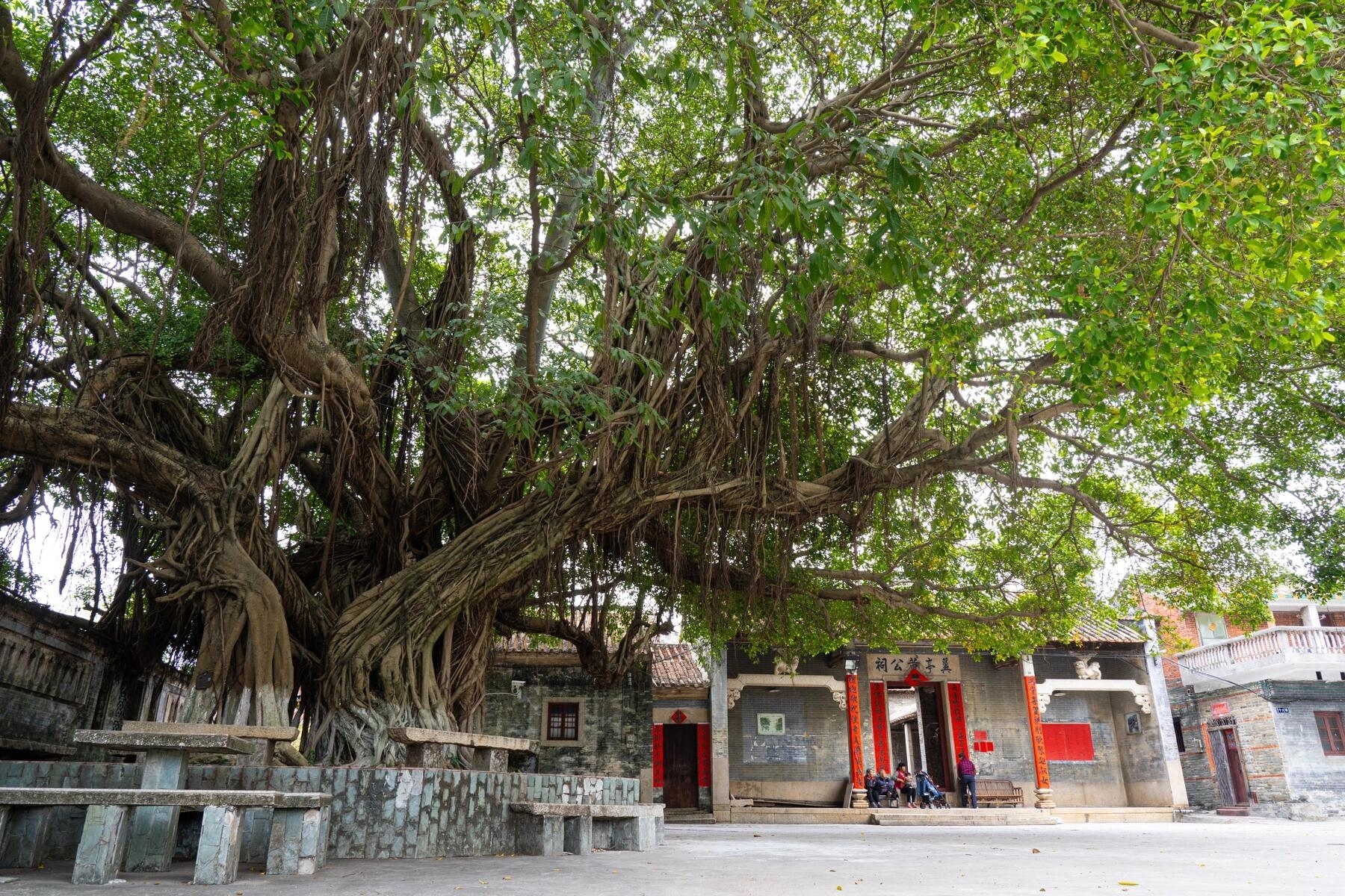 Things to Do in Sanshui District in 2024 - Top Attractions, Local Food ...