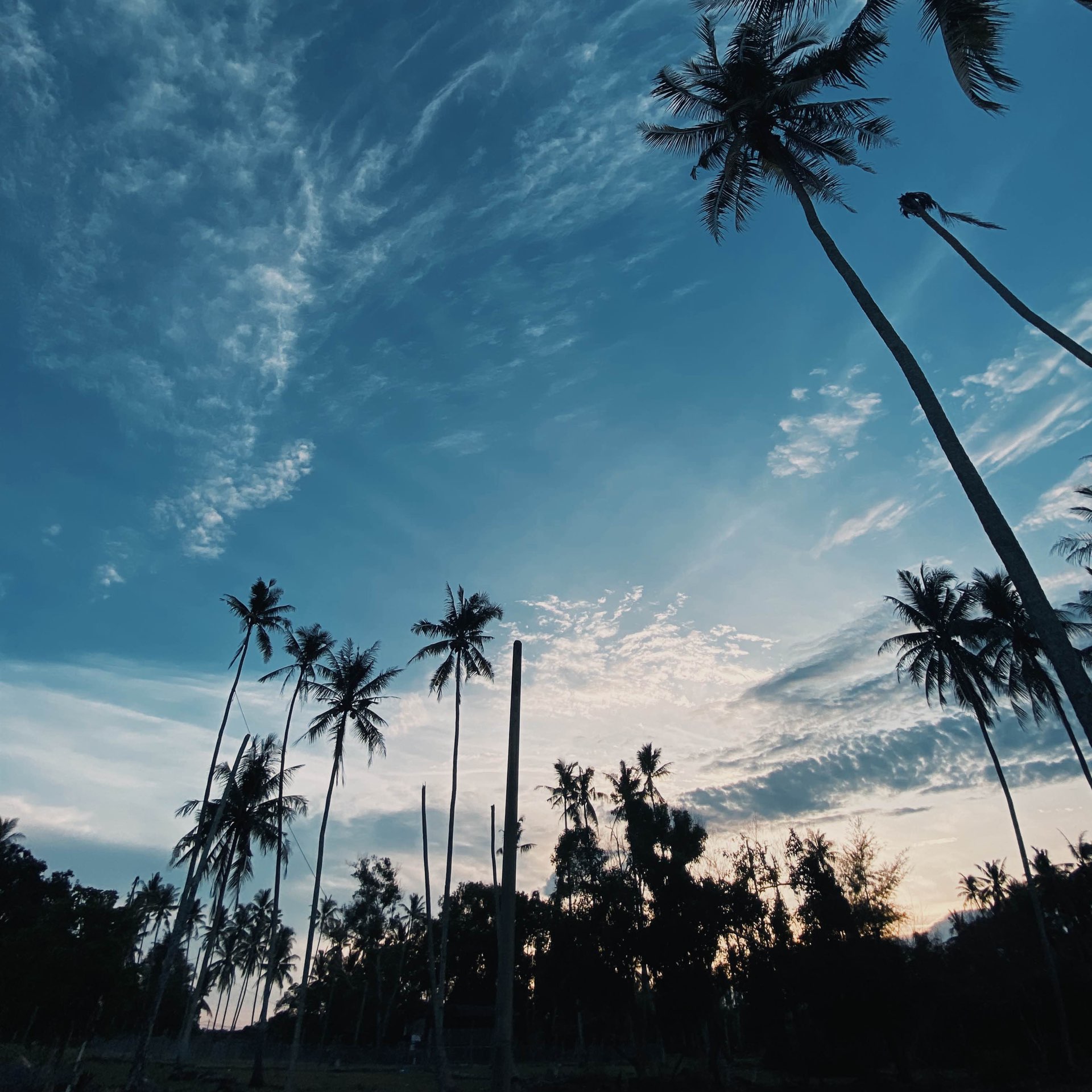 Marang Travel Guide 2024 - Things to Do, What To Eat & Tips | Trip.com