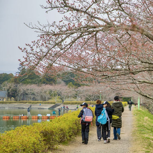 Lake Higashiyama Fishing Area | Trip.com Gotemba