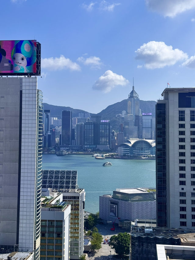 Taste Hong Kong Now | Trip.com Hong Kong