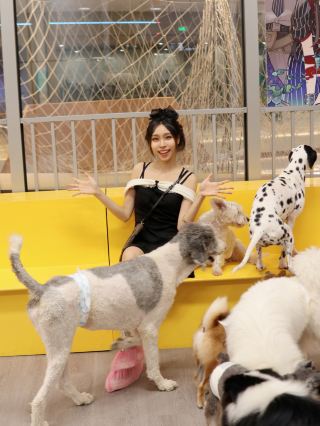 Things to Do in Shunde District in 2024 - Top Attractions, Local Food ...