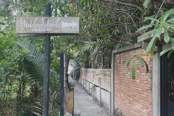 Hiddenwoods cafe คาเฟ่ลับ ณ บางกระเจ้า | Trip.com กรุงเทพฯ