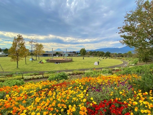 Things to Do in Hiratsuka in 2025 - Top Attractions, Local Food, Hotels ...