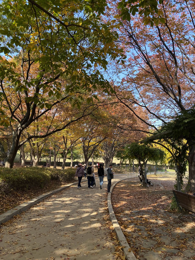 🏃🏻‍♂️ Olympian training ground | Trip.com Seoul