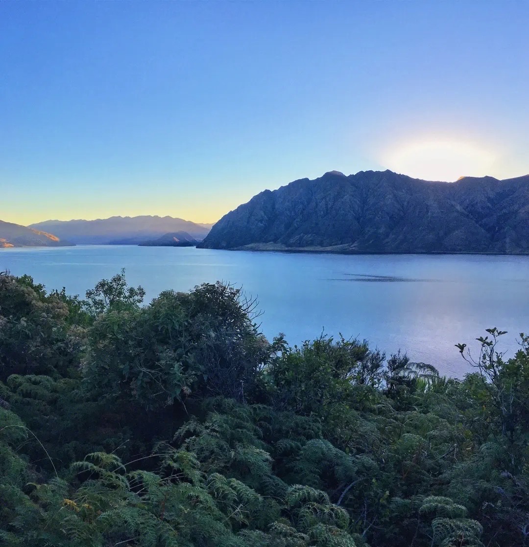 Things to Do in Windward Islands in 2024 - Top Attractions, Local Food ...