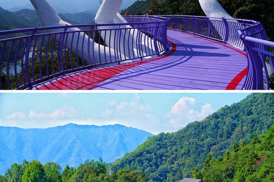 Tourism around Hangzhou, amusement park in the forest | Trip.com Tonglu