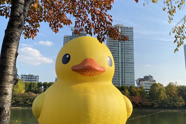Duck duck swim to Korea ~2022~ 🦆 | Trip.com Seoul