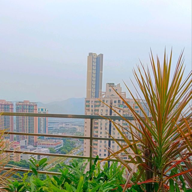 元旦日 深圳按摩篇 泳安水会｜Trip.com 深圳
