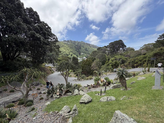 Wellington Botanic Garden | Trip.com Wellington