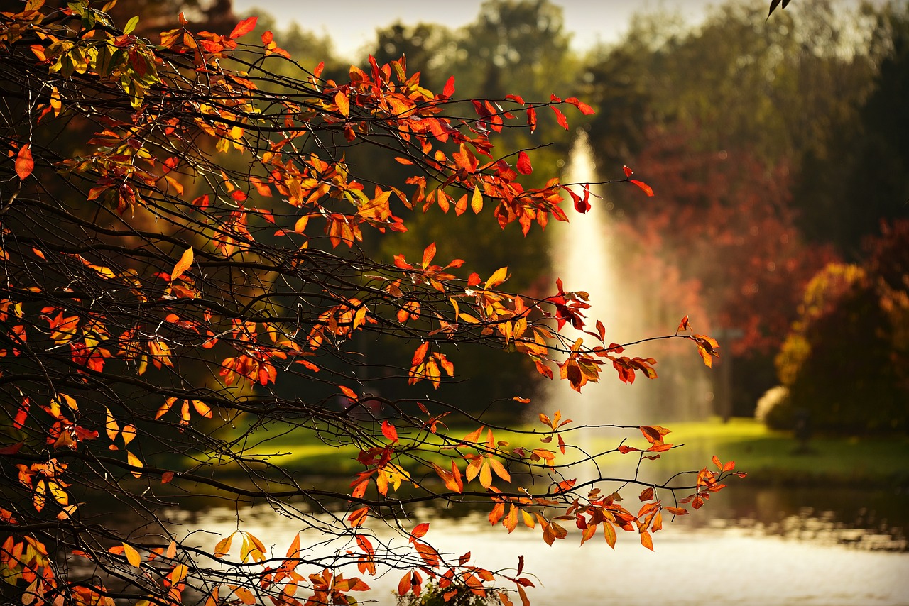 Things to Do in Daishan in 2024 - Top Attractions, Local Food, Hotels ...