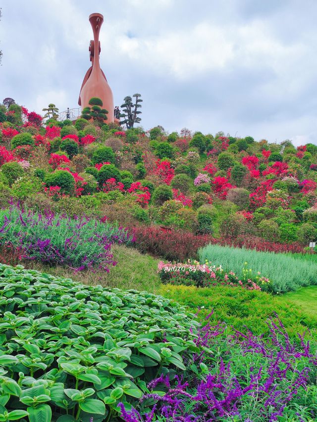 Shenzhen Bantian Mountain Blossoming Flower Park｜Spring Exclusive ...