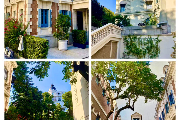 Spring Cocktails in the Former Billiard Room | Trip.com Madrid