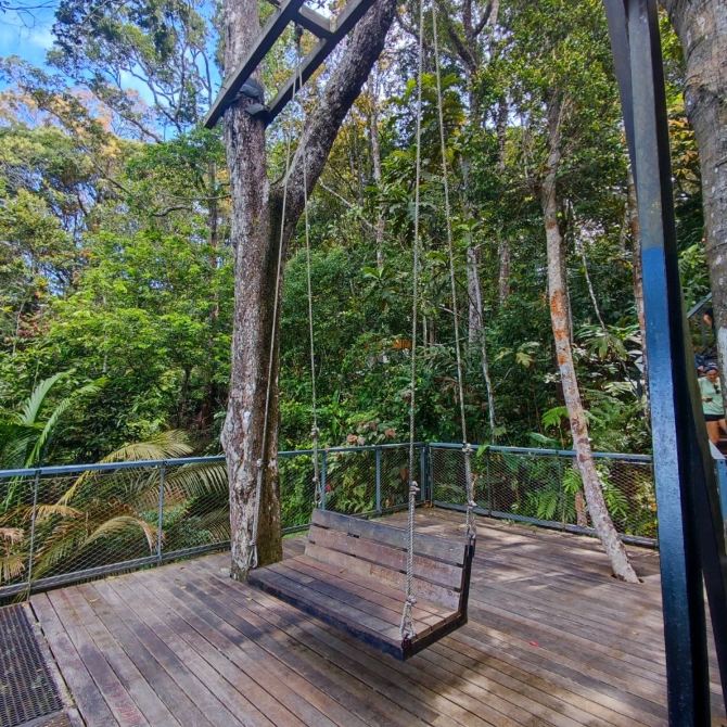 Penang Rainforest Discovery Centre | Trip.com Northeast Penang Island ...