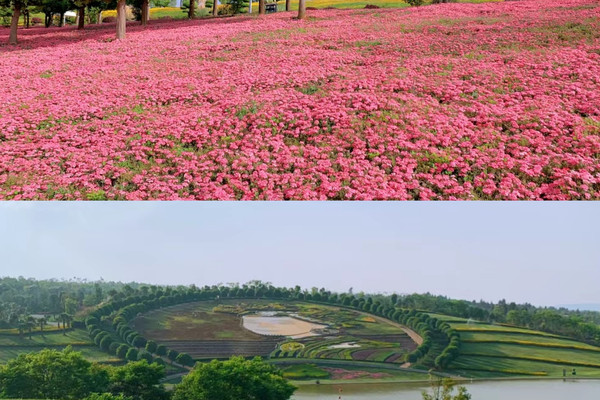 Around Kunming|Mile Taiping Lake Ecological Tourism Resort | Trip.com Mile
