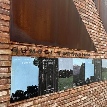 [🇰🇷韓國 | 聖水] Sumsei Terrarium 藝術體驗空間｜Trip.com 首爾